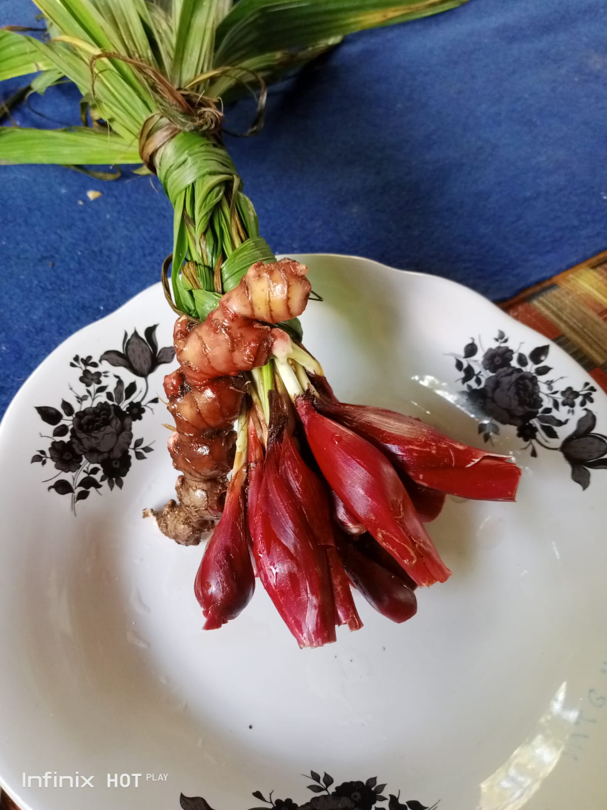 Manfaat Bawang Dayak Nilaiku